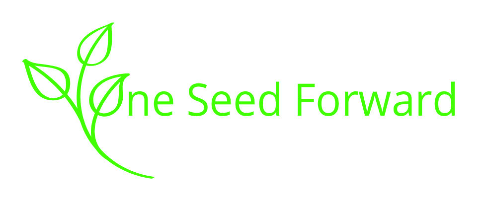 Secrets of the soil - OSF Garden Schools